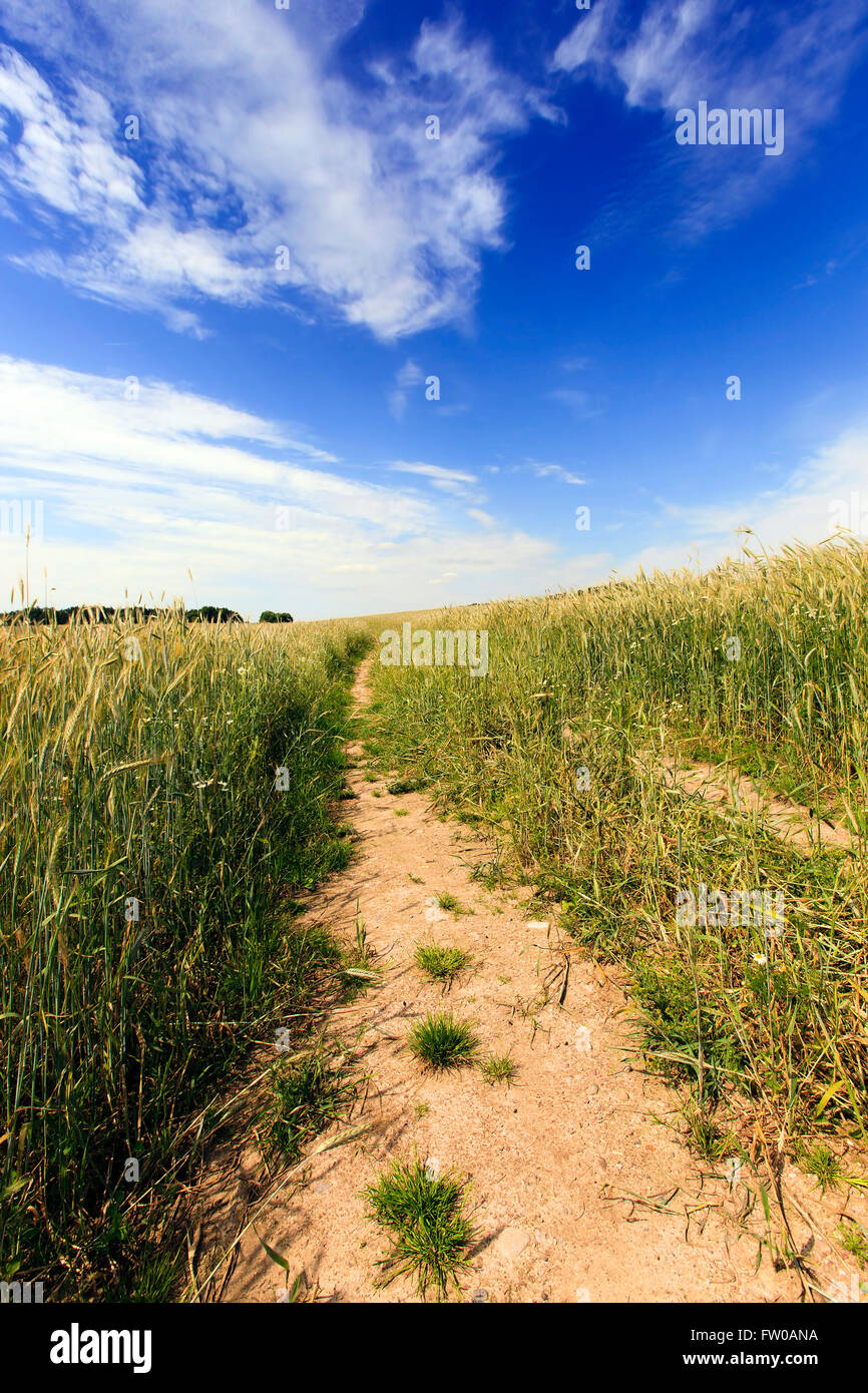 Non paved road hi-res stock photography and images - Alamy