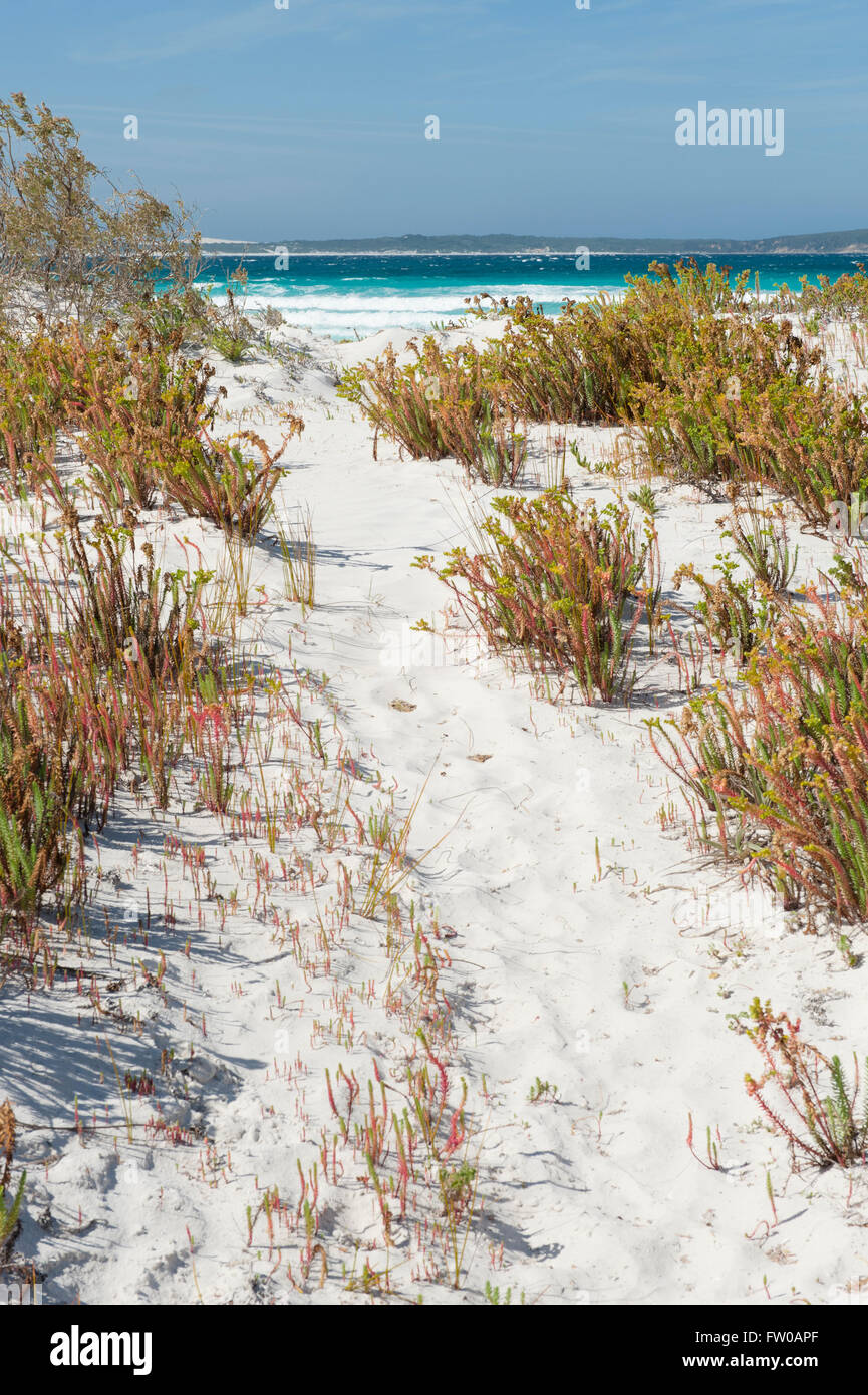 The white sandy main beach of Bremer Bay, a small seaside resort on the ...