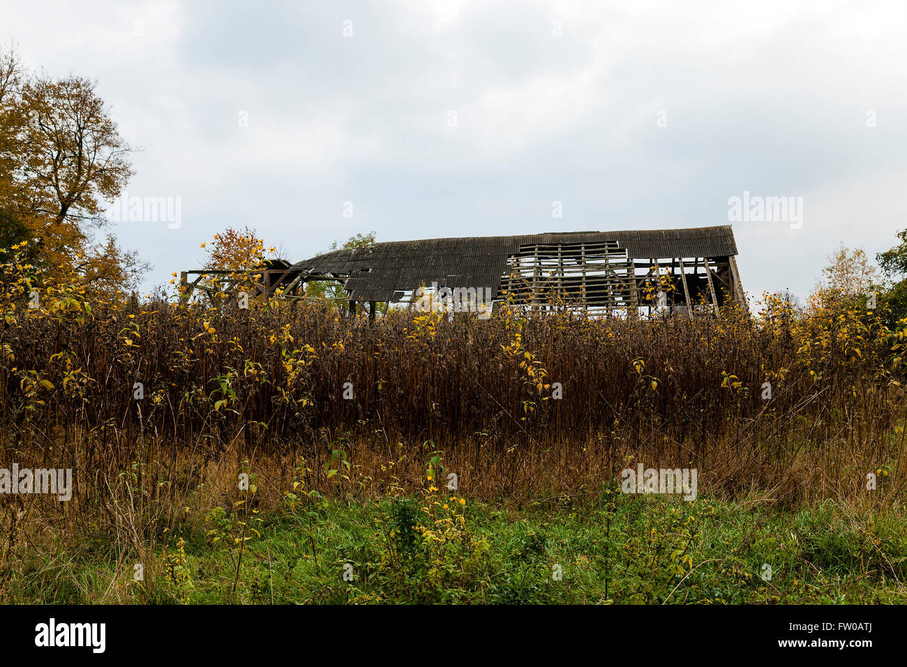 the ruins of an old building Stock Photo - Alamy