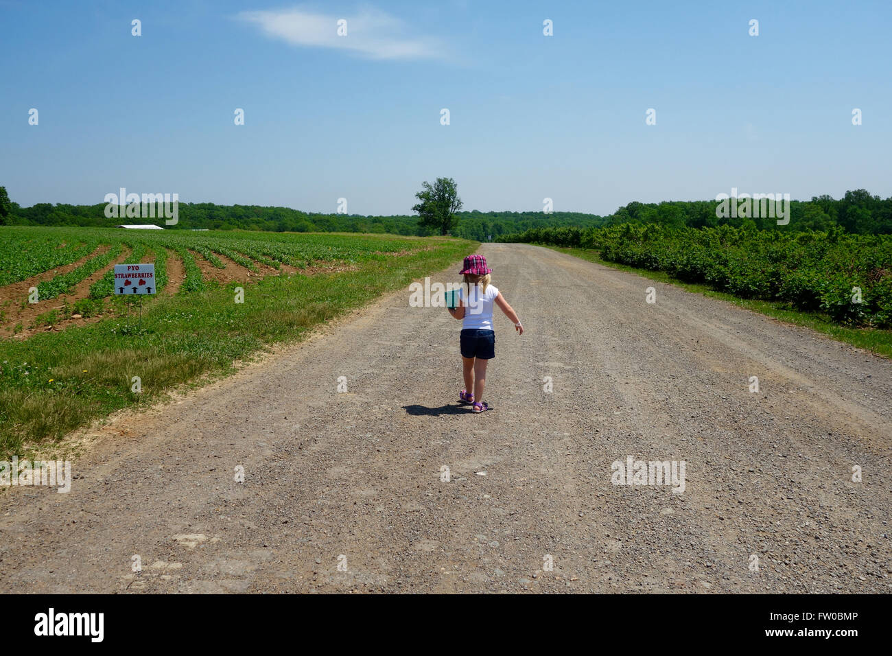 young girl walking through farm field Stock Photo - Alamy