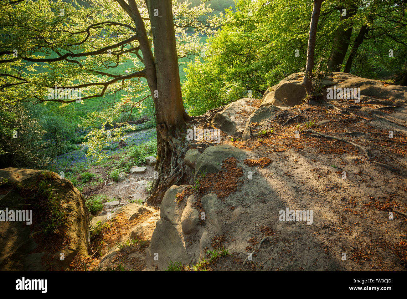 Harrison's rocks sussex hi-res stock photography and images - Alamy
