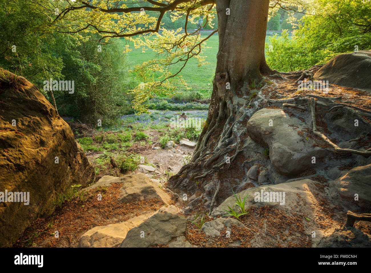 Harrison’s rocks hi-res stock photography and images - Alamy