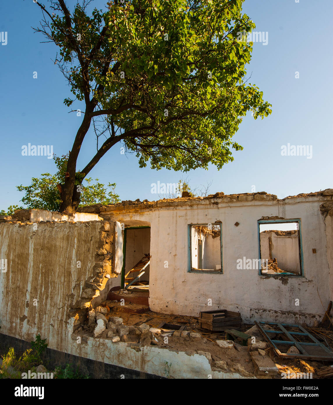 tree and wall of the old destroyed house Stock Photo - Alamy