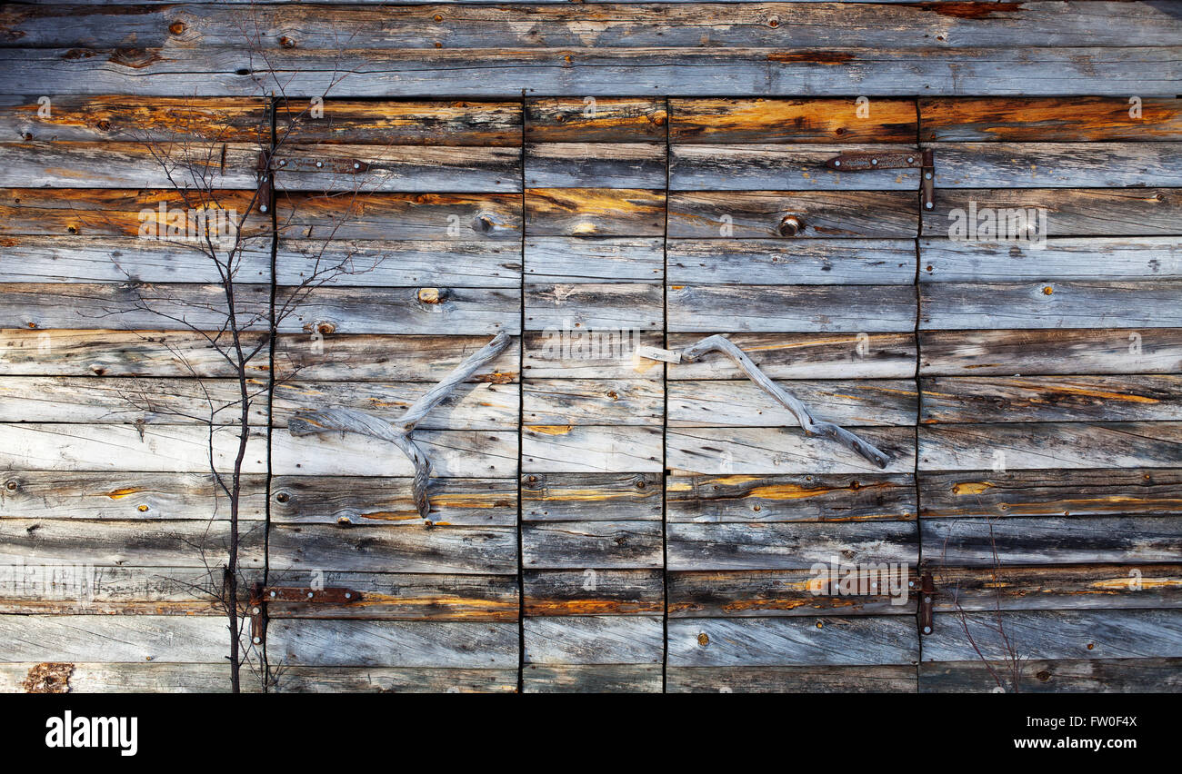 Old and rustic weathered wood texture Stock Photo - Alamy
