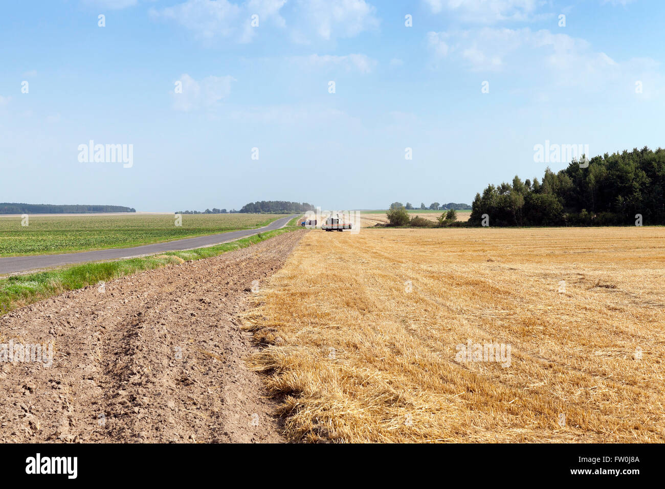 road in a field Stock Photo - Alamy