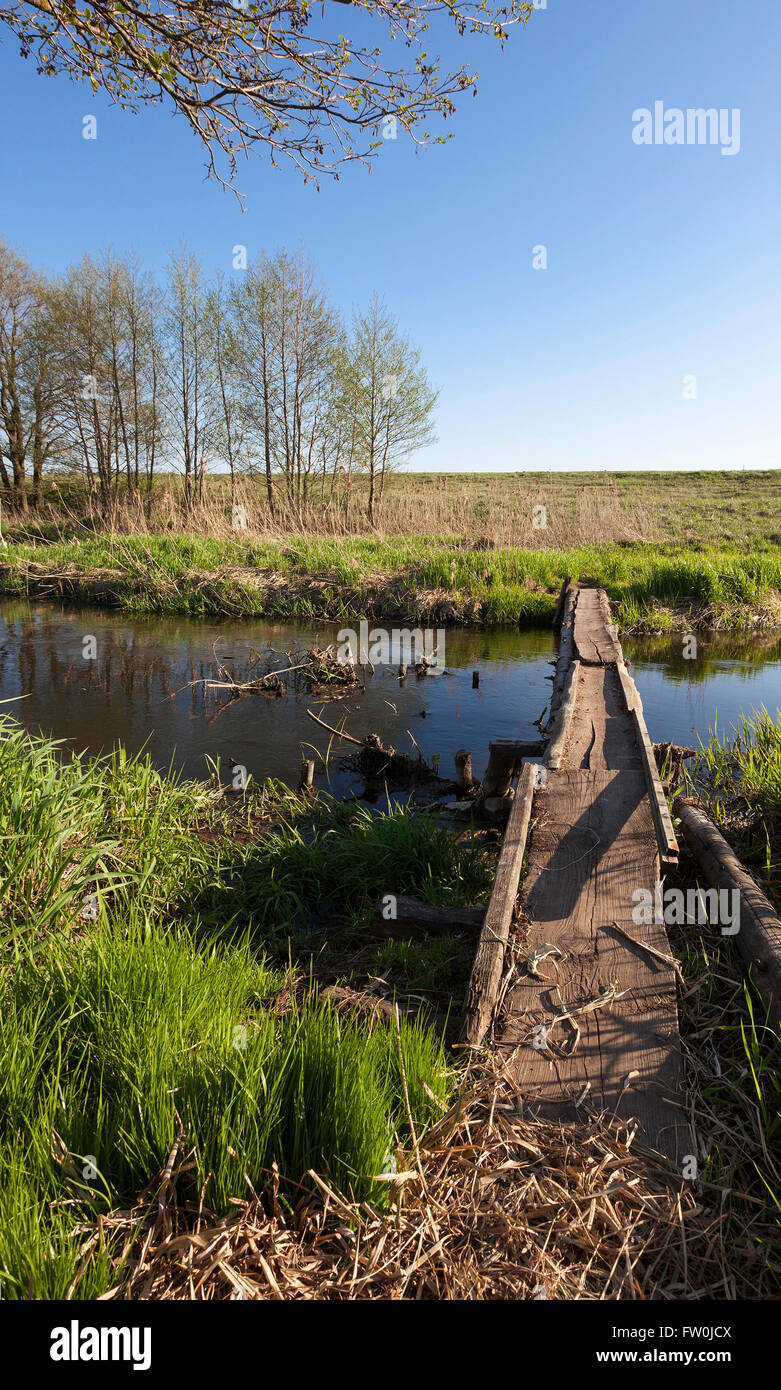 small lake , summer Stock Photo - Alamy