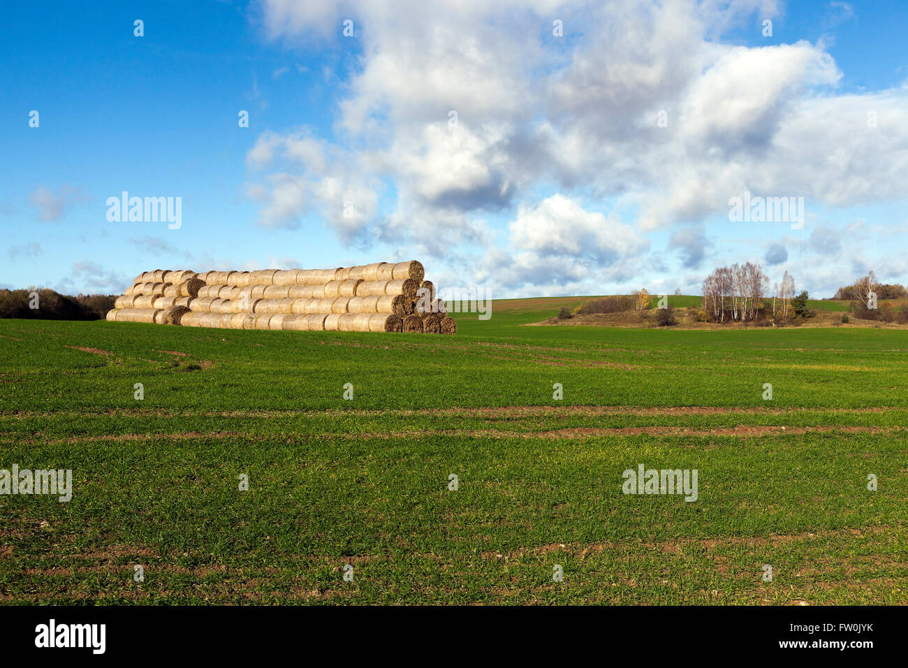 haystacks piled straw Stock Photo - Alamy