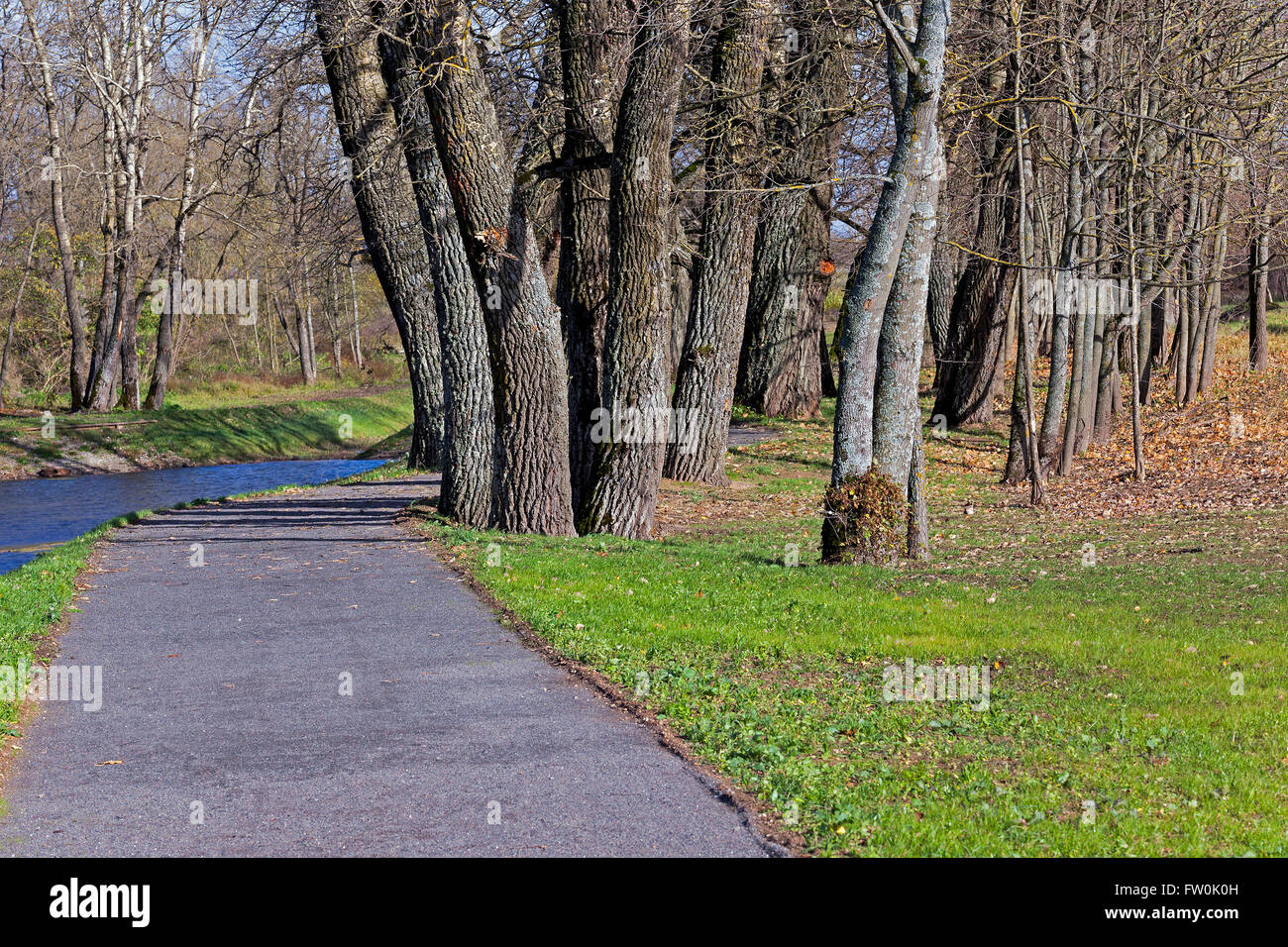 small paved road Stock Photo - Alamy
