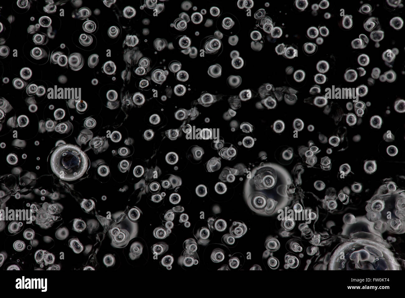 Inside bubbles hi-res stock photography and images - Alamy