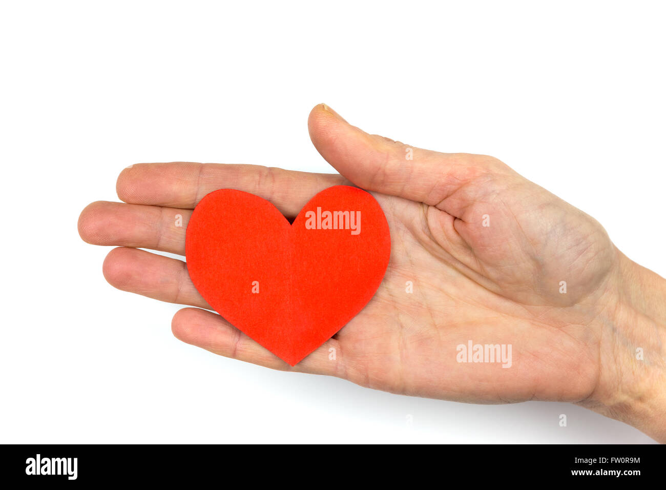 Heart In Hand Symbol Shaker