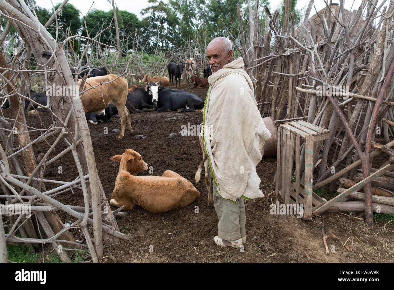 Meki River Delta, Ethiopia, October 2013 Tasfai Fatula, 60, keeps his ...