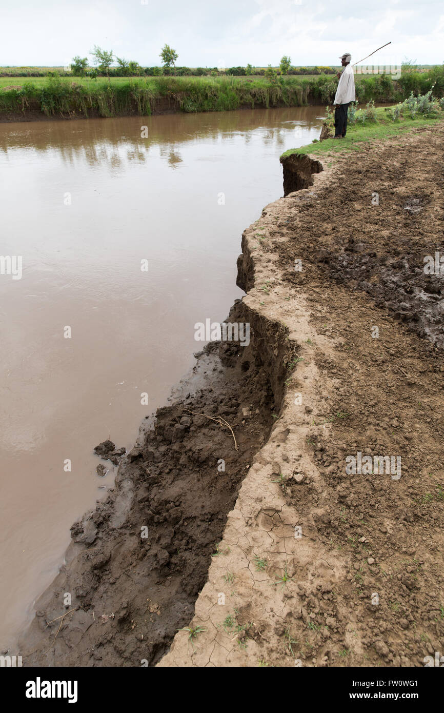 Meki River Delta, Ethiopia, October 2013 River erosion due to poor ...