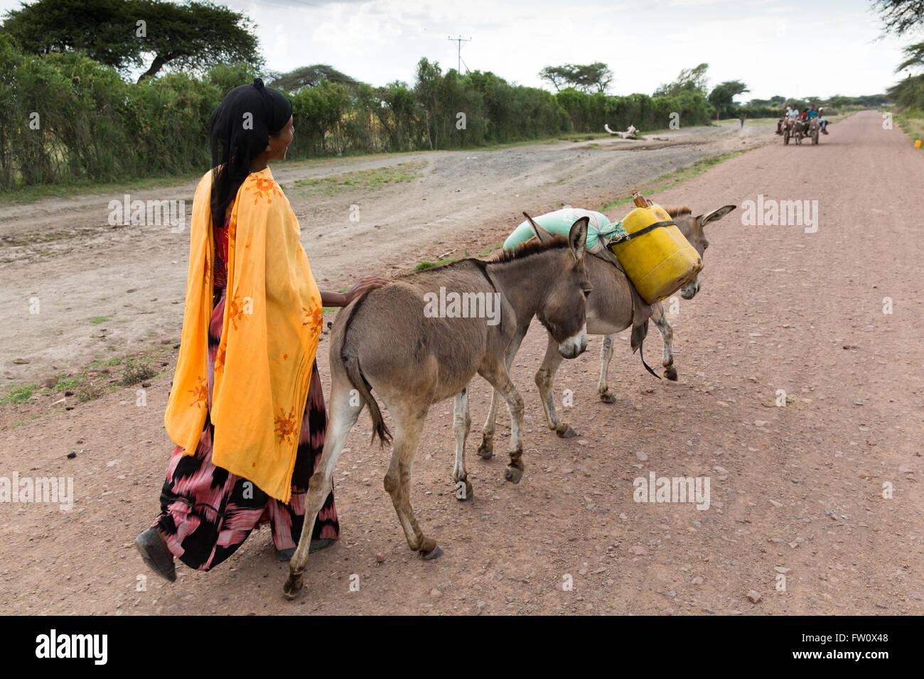 Donkey carrying water hi-res stock photography and images - Alamy