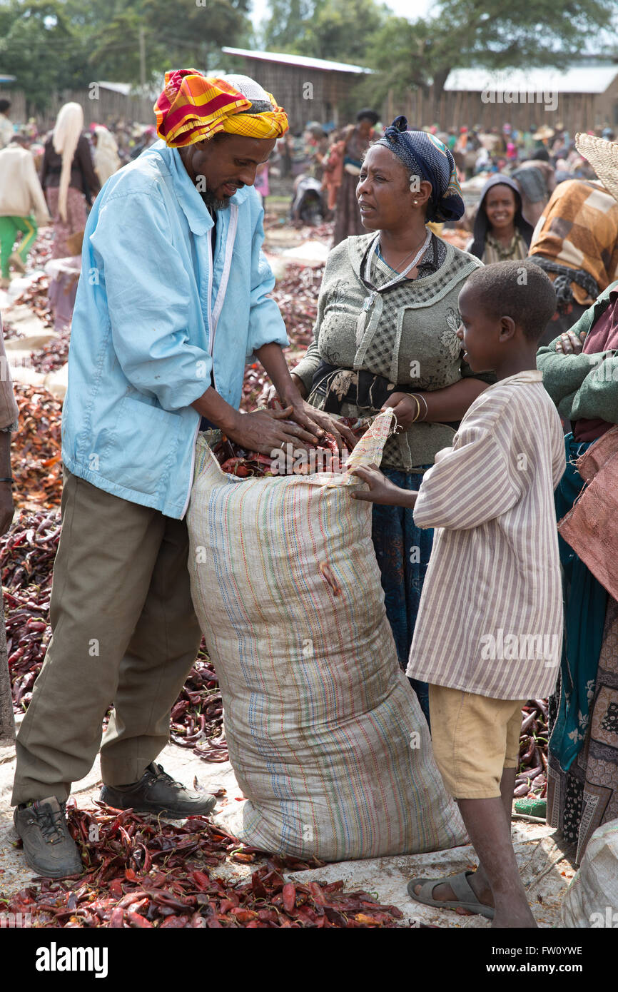 Enseno Town, near Gurage, Ethiopia, October 2013. The chili market ...
