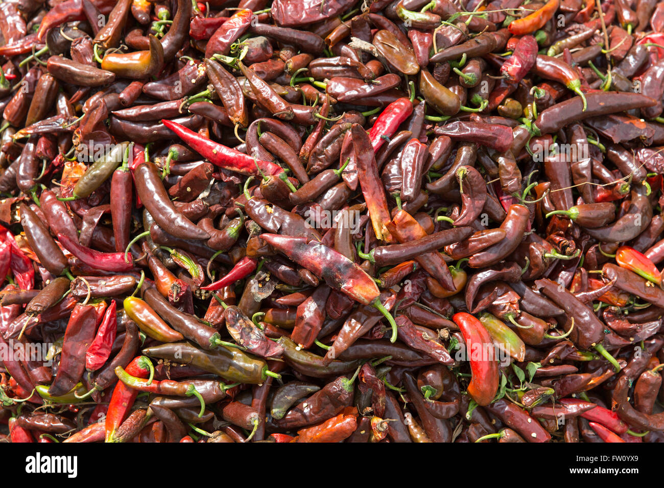 Enseno Town, near Gurage, Ethiopia, October 2013. The chili market ...