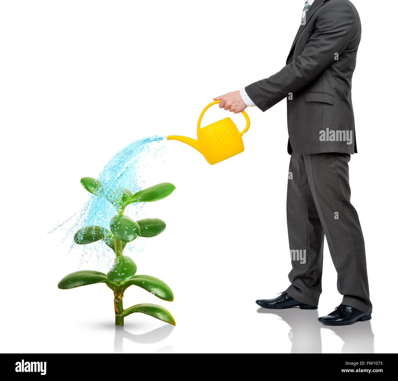 Businessman watering plant hi-res stock photography and images - Alamy