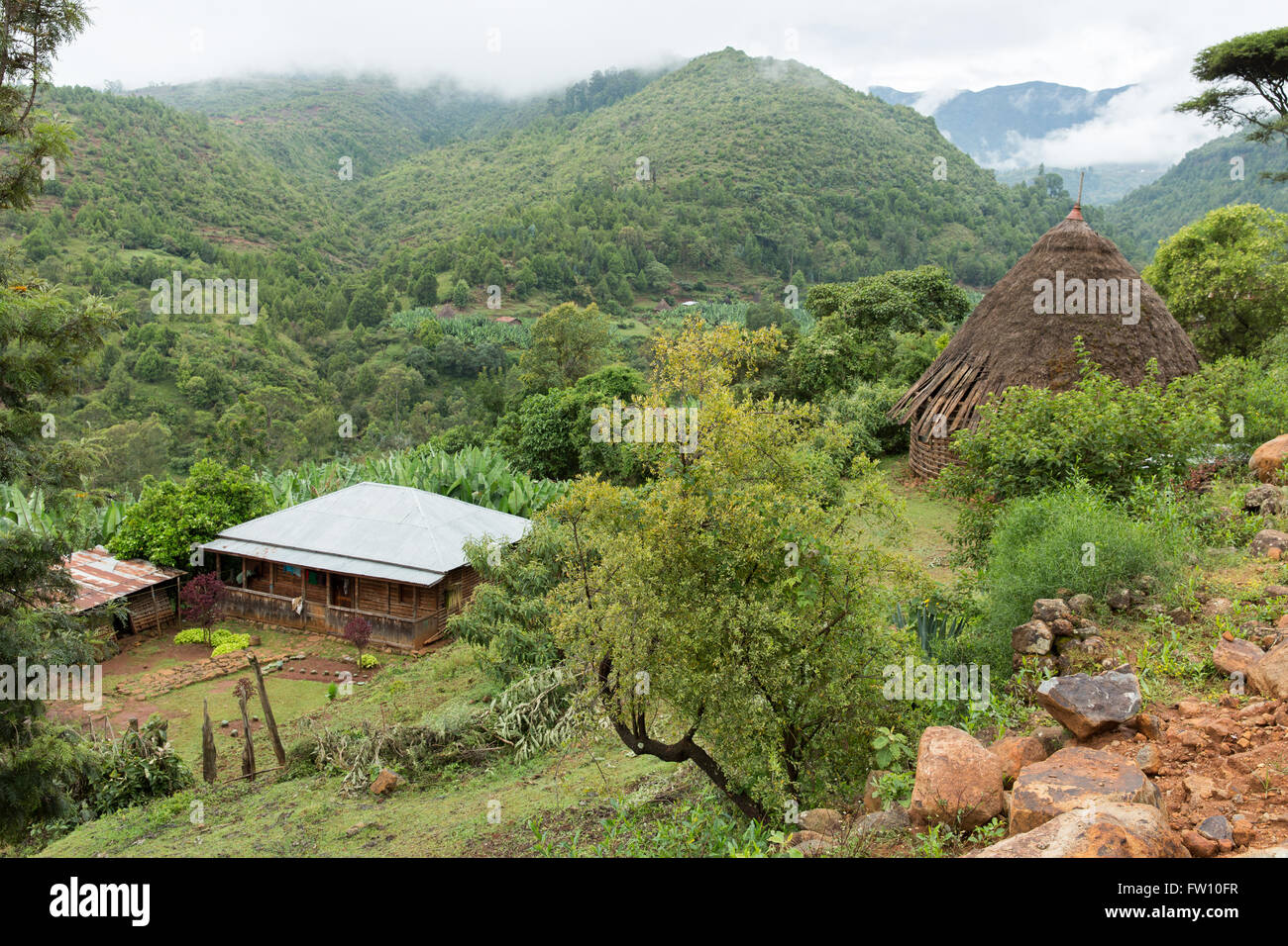 Muhe village gurage ethiopia october hi-res stock photography and ...