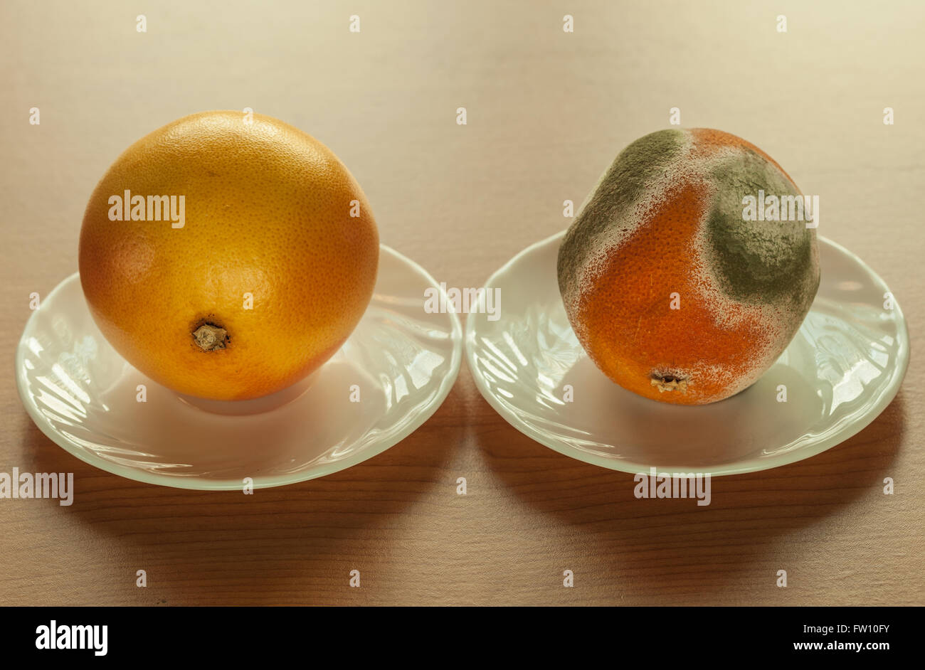 Ripe and moldy grapefriut on plate at wooden table. Difference between ...