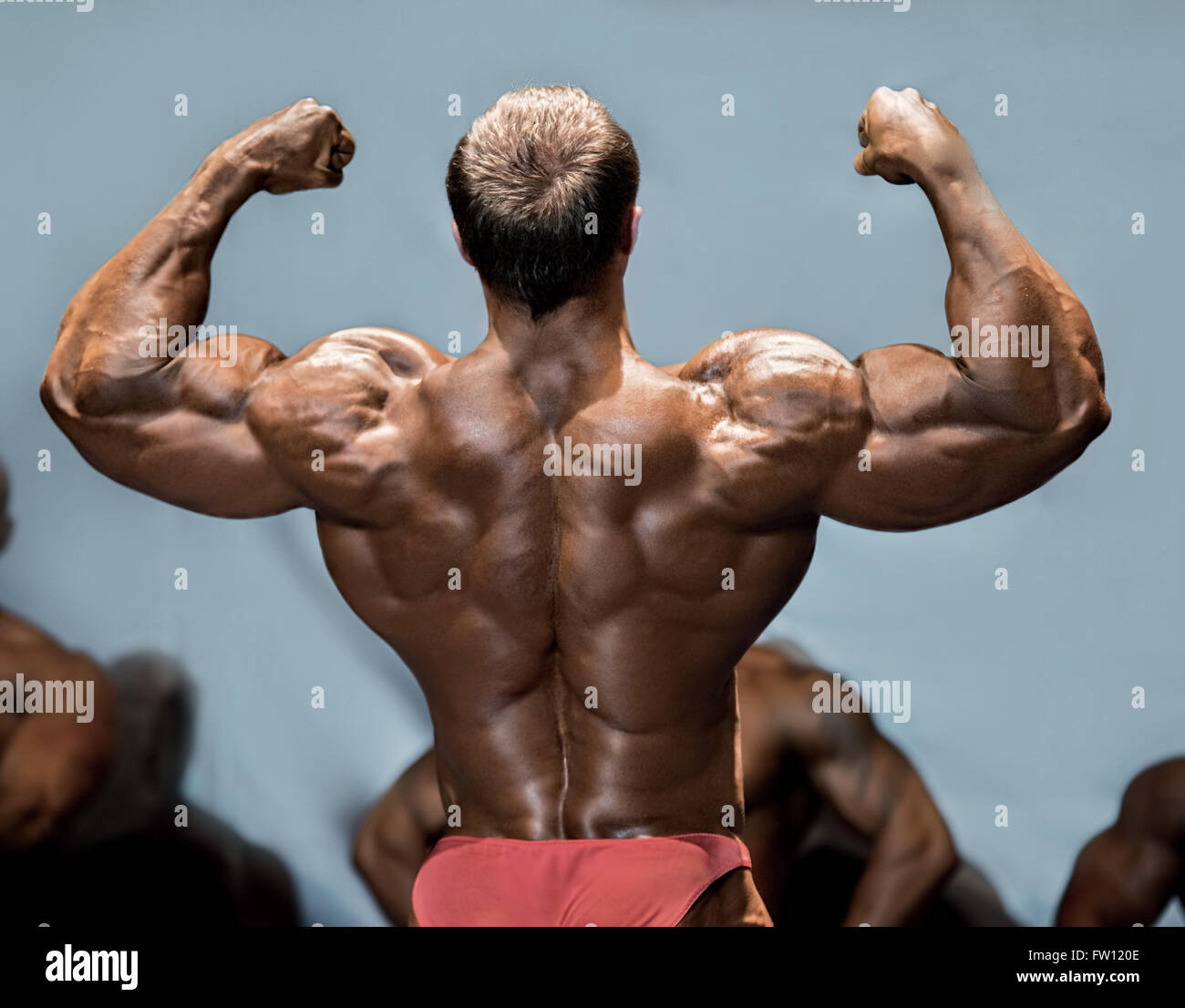 Flex Arm Muscle Stock Photos & Flex Arm Muscle Stock Images - Alamy
