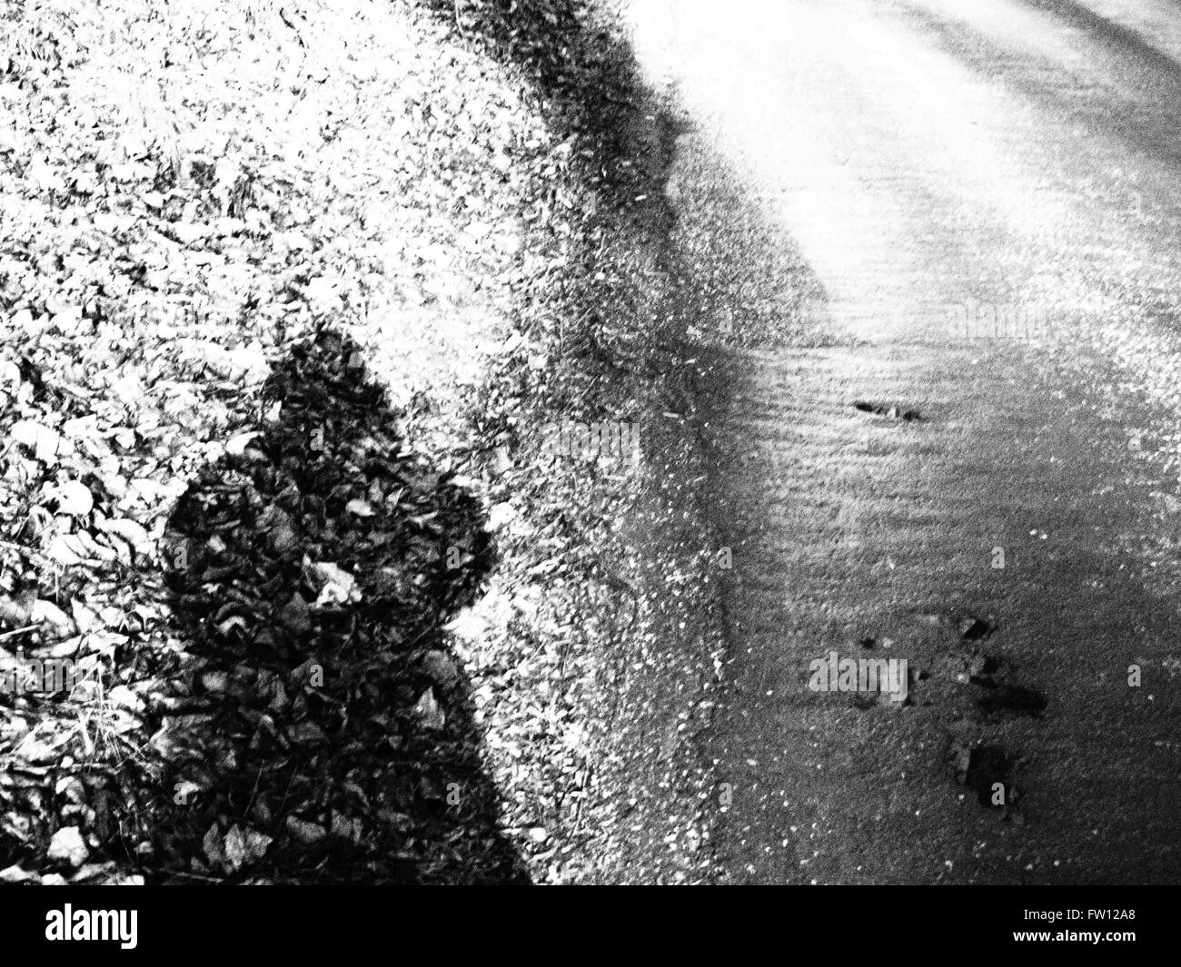 Shadow by the side of the road Stock Photo - Alamy