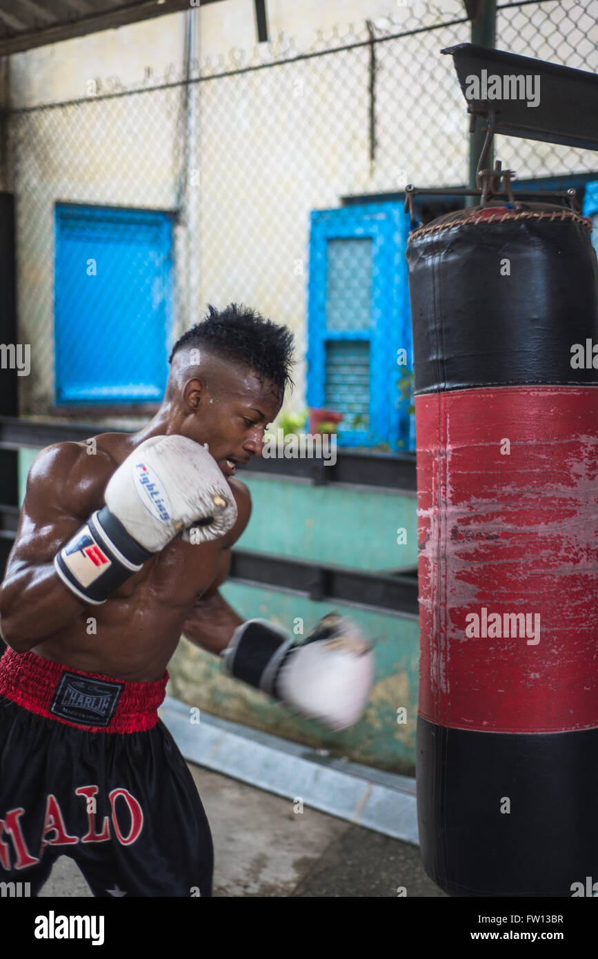 Havana, Cuba - September 22, 2015: Young boxers train in famous boxing ...