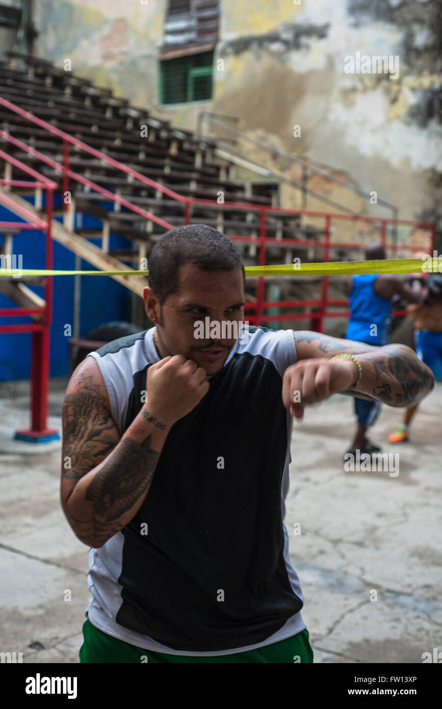 Havana, Cuba - September 22, 2015: Young boxers train in famous boxing ...