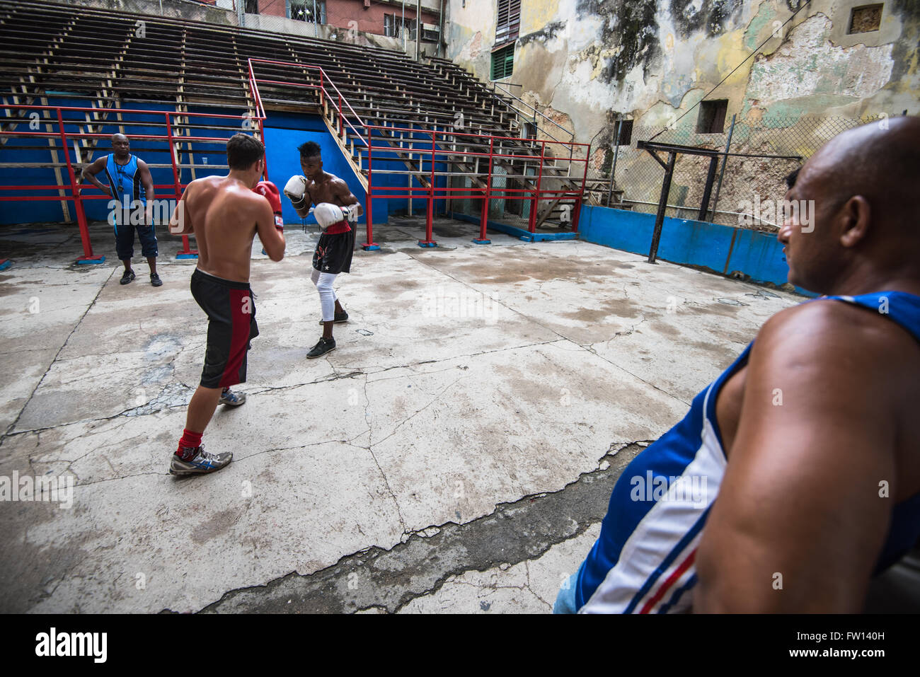 Havana, Cuba - September 22, 2015: Young boxers train in famous boxing ...