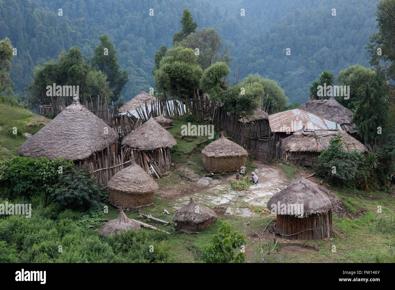 North Shewa, Ethiopia, October 2013: Villagers have taken their ...