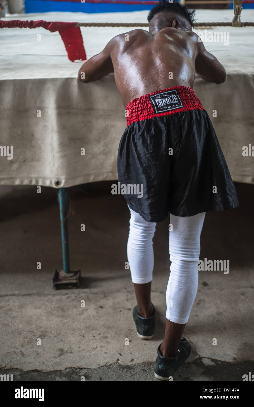 Havana, Cuba - September 22, 2015: Young boxers train in famous boxing ...