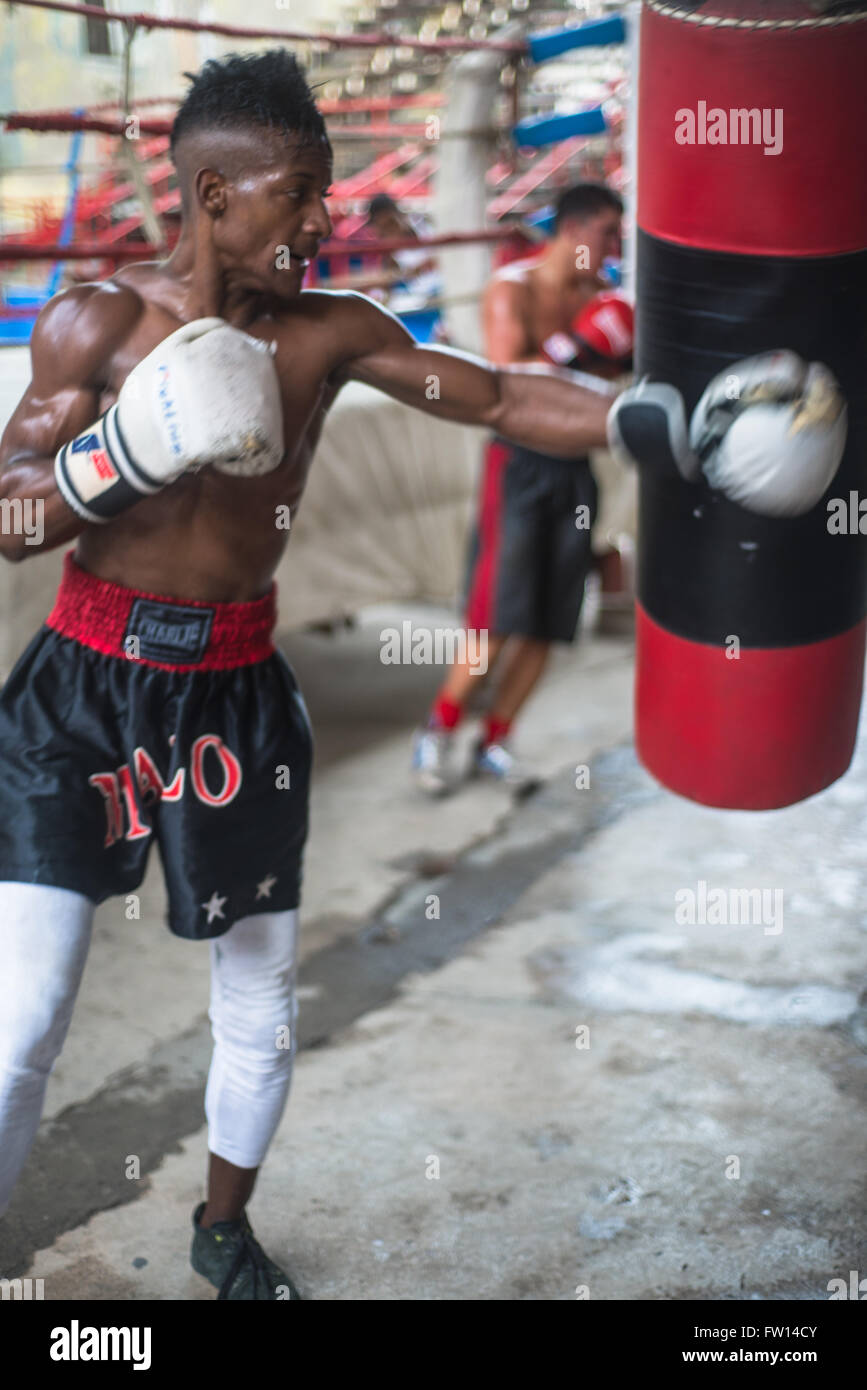 Havana, Cuba - September 22, 2015: Young boxers train in famous boxing ...