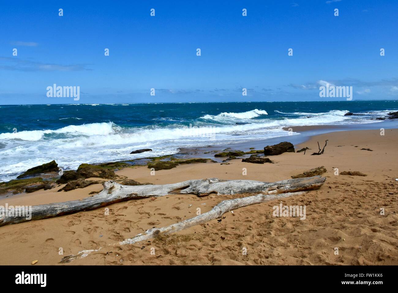Puerto Rico ocean beach Stock Photo - Alamy