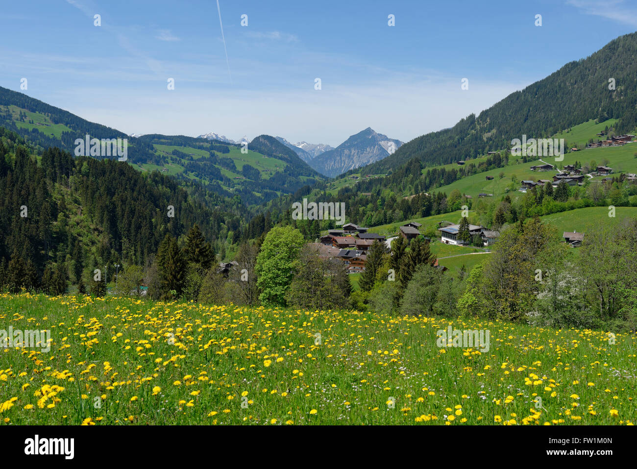 Alpbach spring hi-res stock photography and images - Alamy