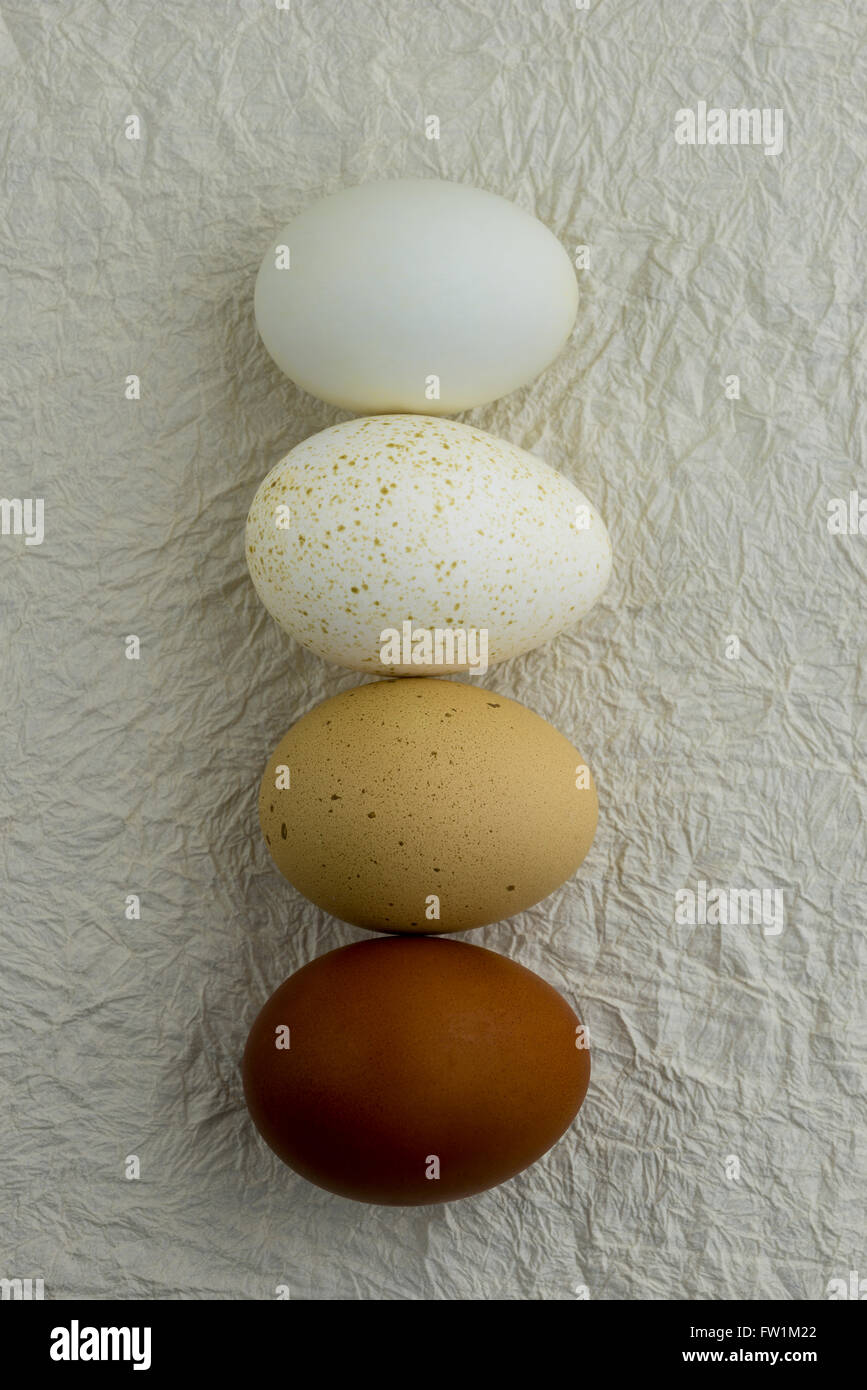 Different colored eggs in natural colors Stock Photo - Alamy