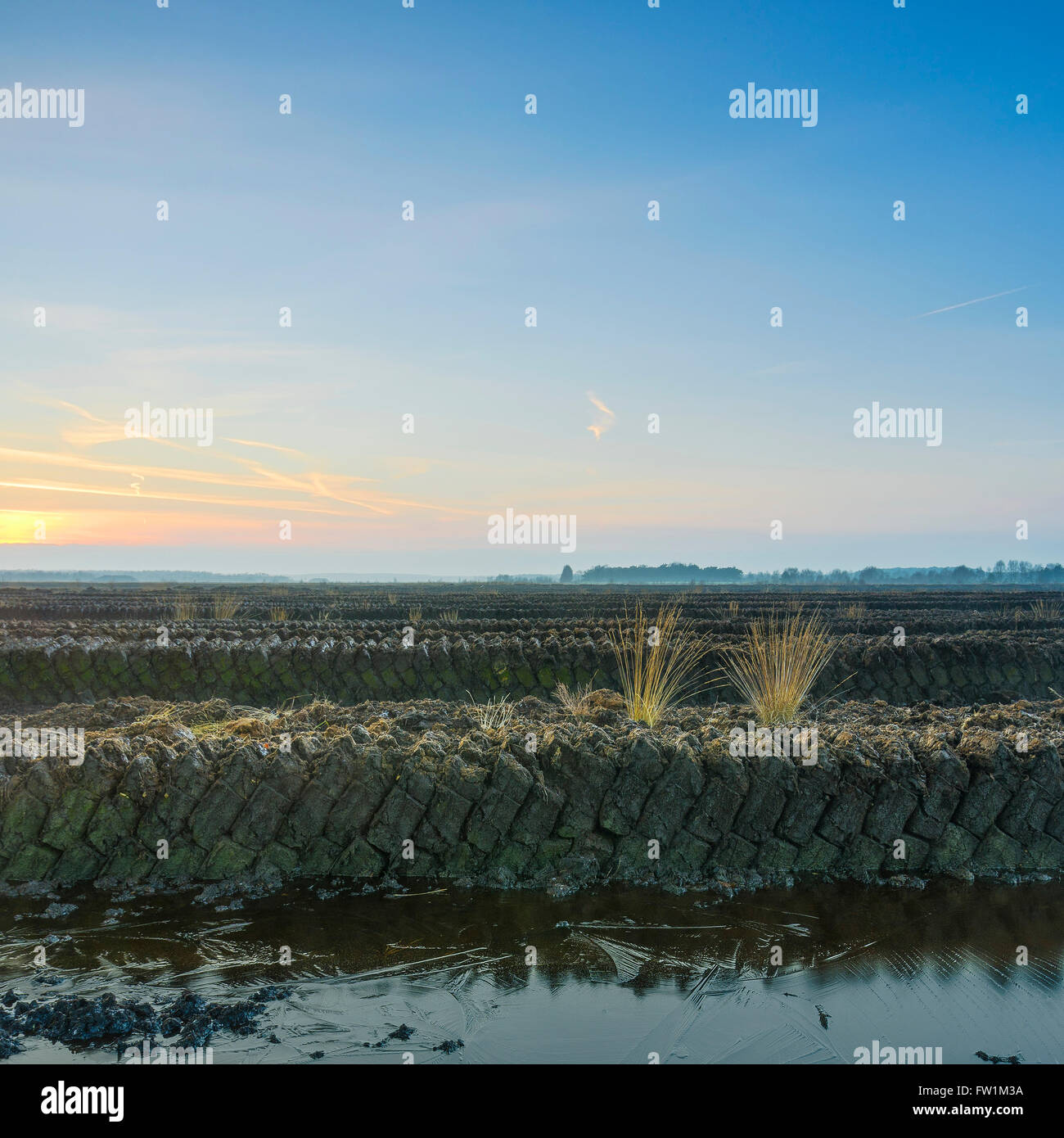 Peat mining site in a moorland area, Neustadt am Rübenberge, Hanover ...