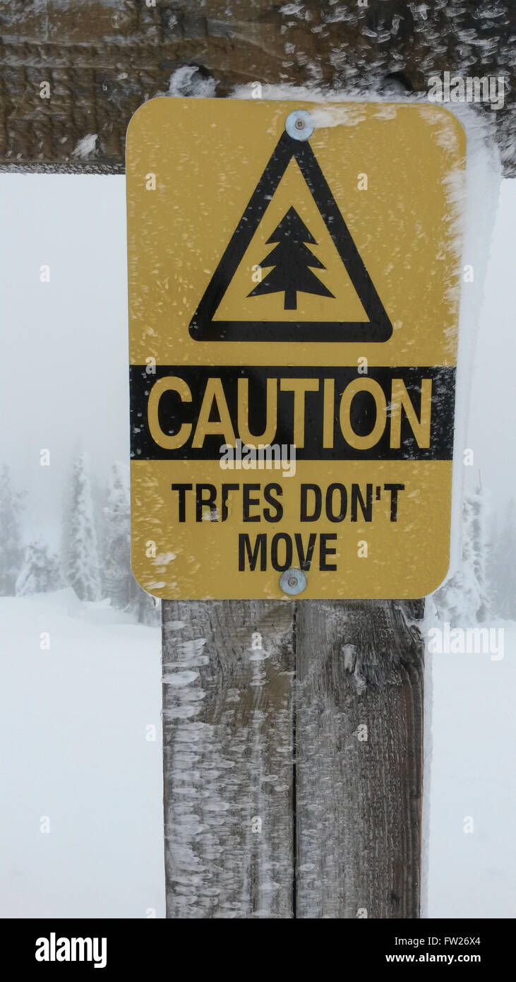 sign says trees don't move Stock Photo - Alamy