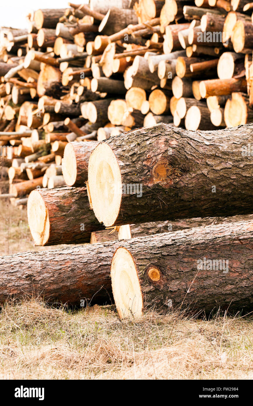 logging , timber harvesting Stock Photo - Alamy
