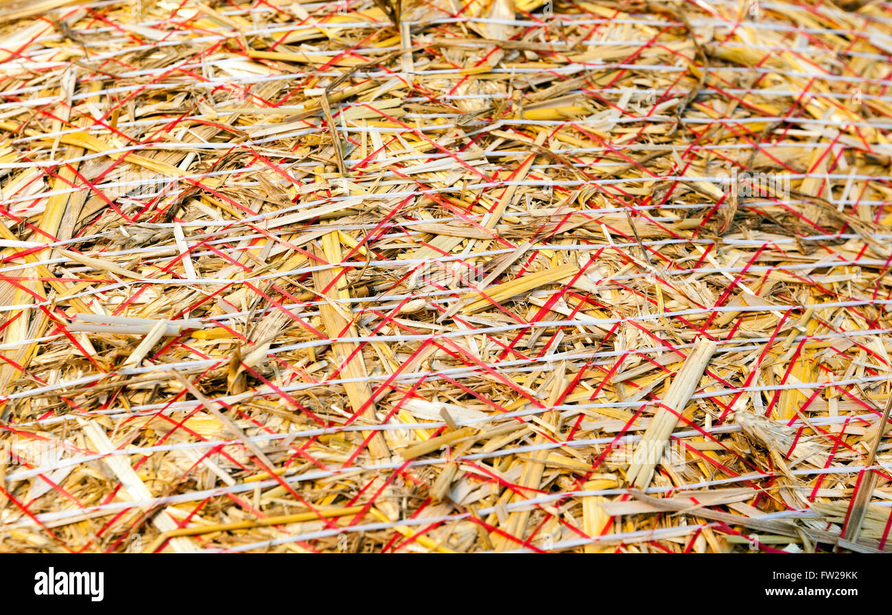 haystacks in a field of straw Stock Photo - Alamy