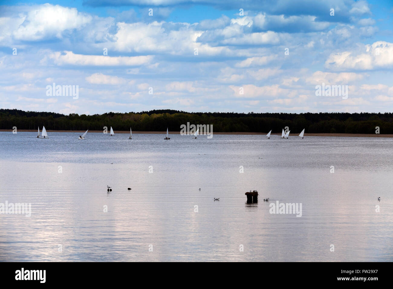 sailing. Spring season Stock Photo - Alamy