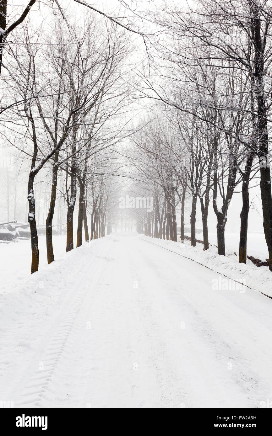 path in the snow Stock Photo - Alamy