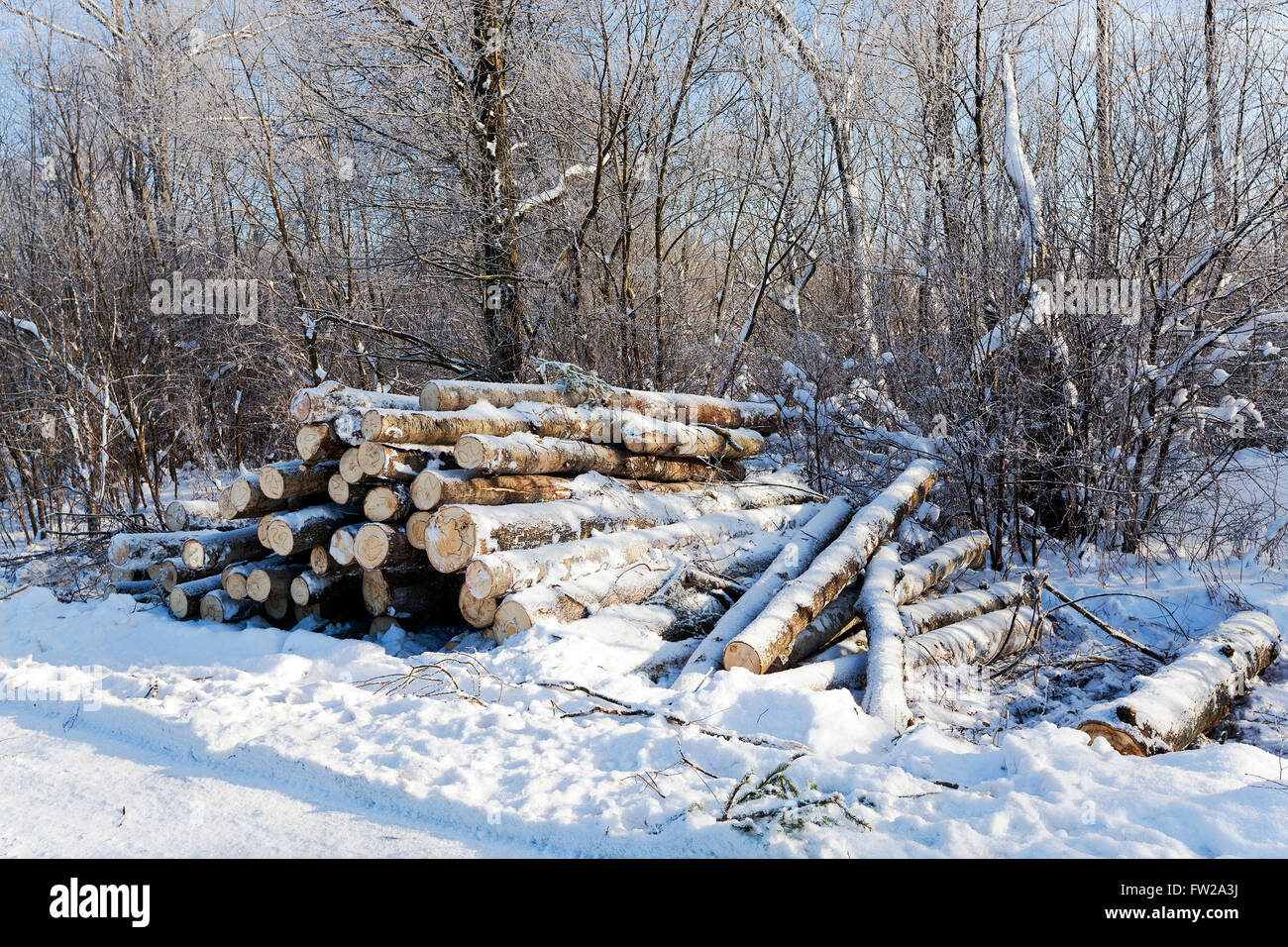 Temperature logging hi-res stock photography and images - Alamy