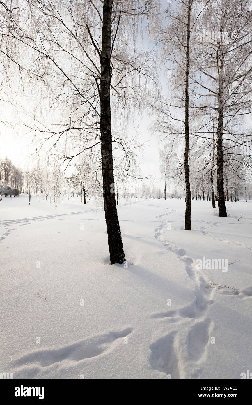Snow covered road Stock Photo - Alamy