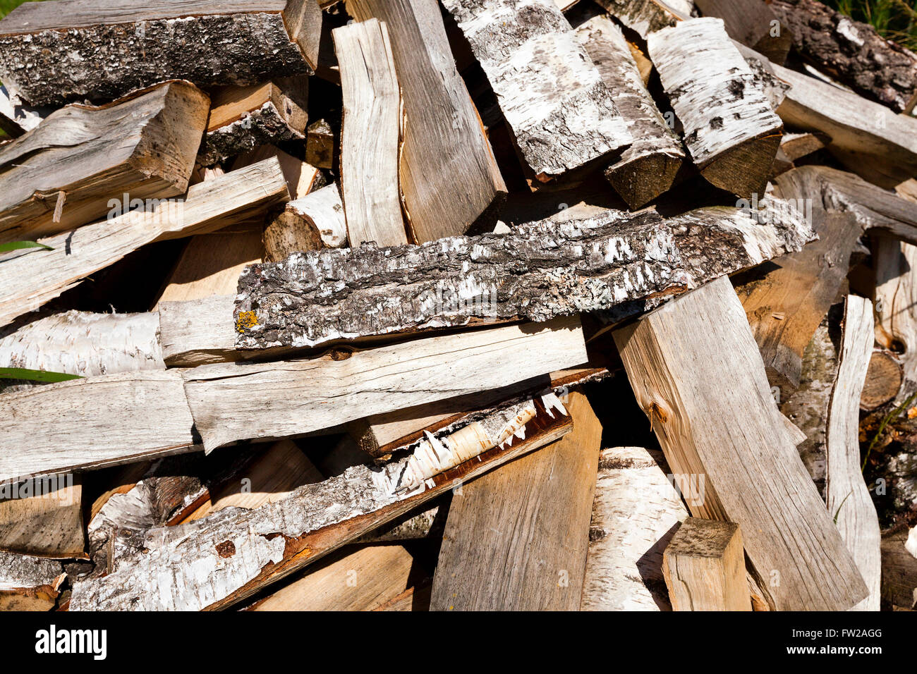 firewood in nature Stock Photo - Alamy