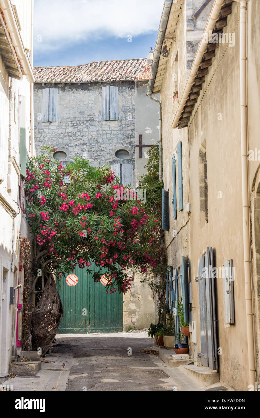 Civilizationstone hi-res stock photography and images - Alamy