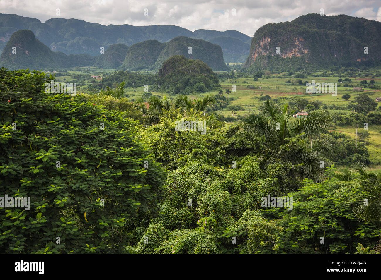 Panoramic view over landscape with mogotes in Vinales Valley ,Cuba ...