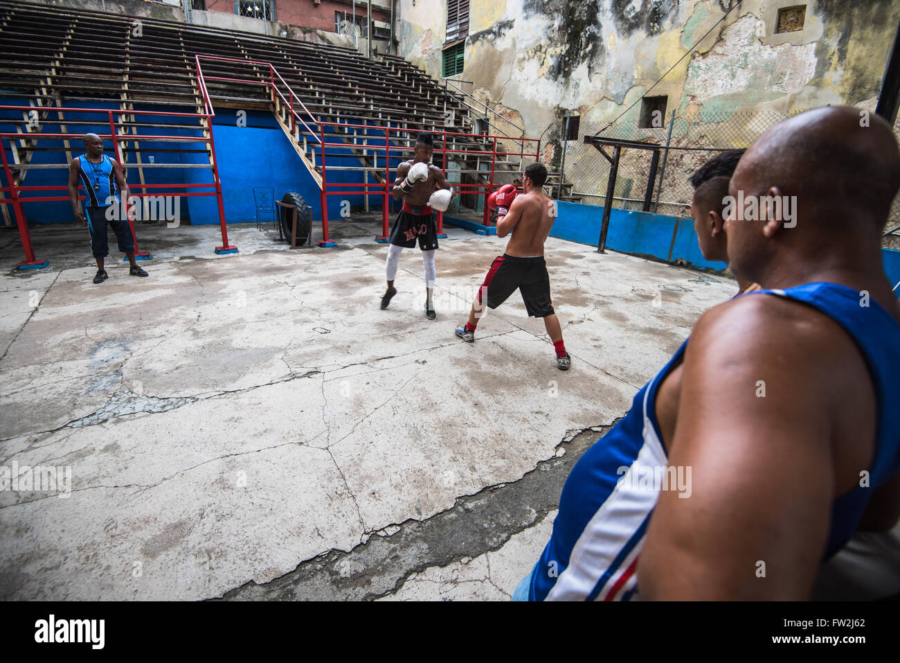 Havana, Cuba - September 22, 2015: Young boxers train in famous boxing ...