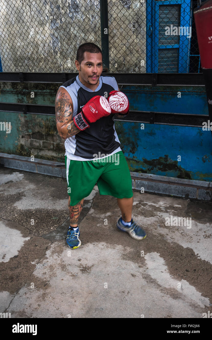 Havana, Cuba - September 22, 2015: Young boxers train in famous boxing ...