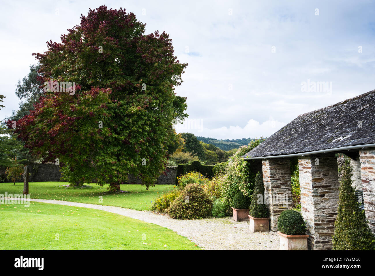 Buckland monachorum hi-res stock photography and images - Alamy