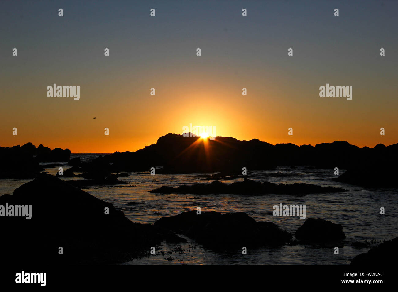 Tofino ocean sunset hi-res stock photography and images - Alamy