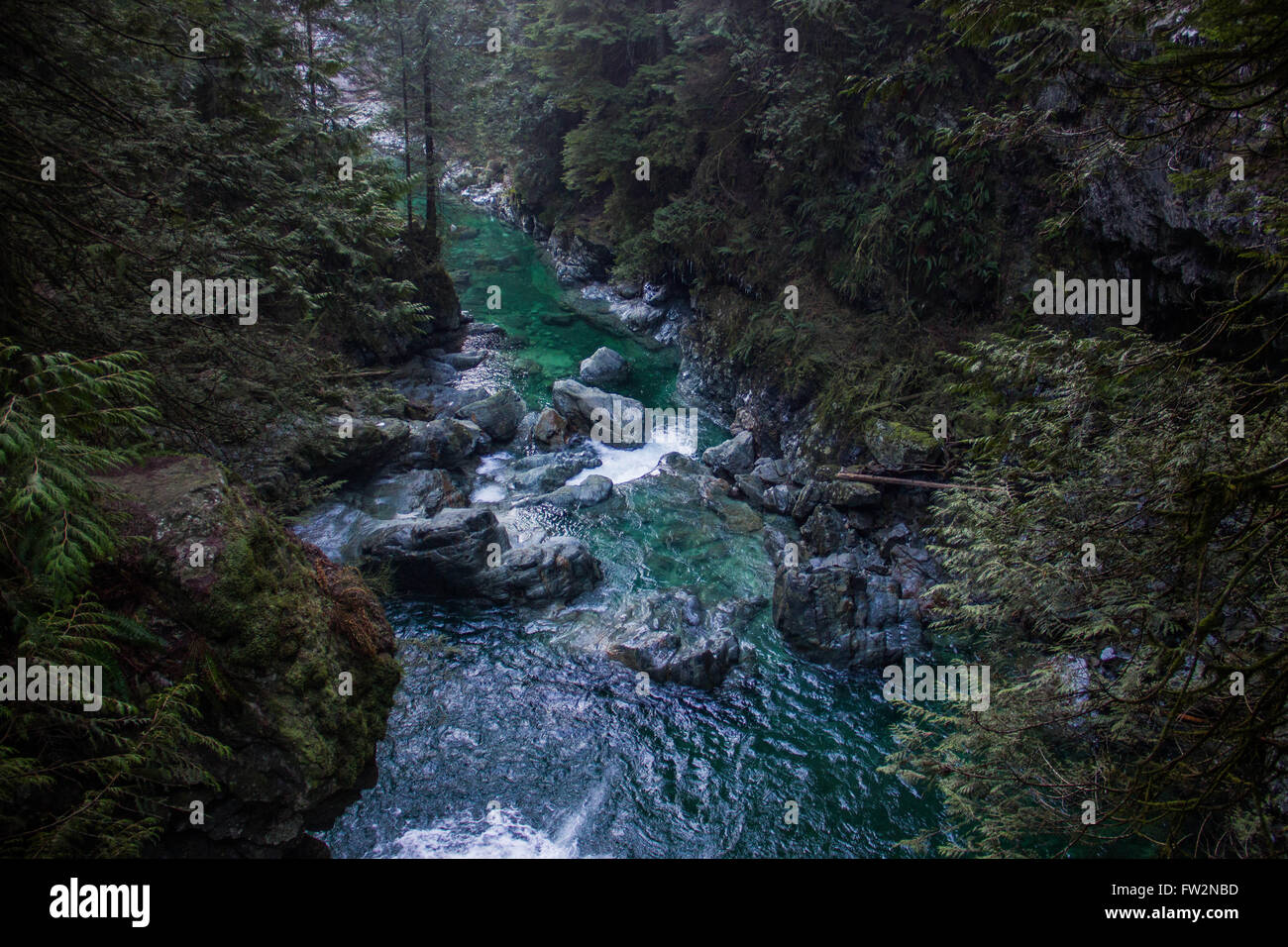 Lynn valley hi-res stock photography and images - Alamy