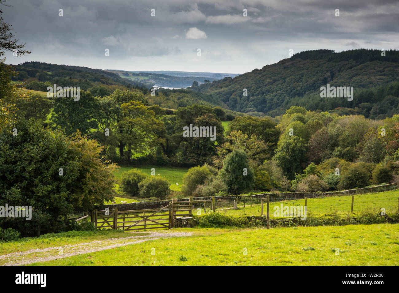countryside landscape at fall in rural England Stock Photo - Alamy